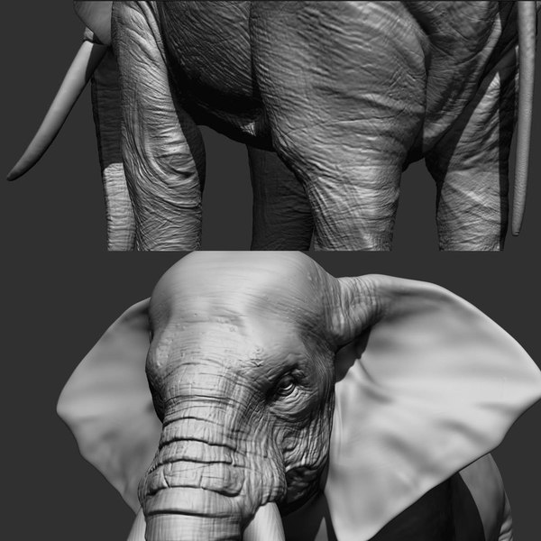 obj photorealistic elephant rigged