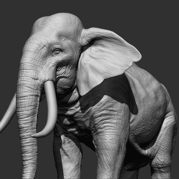 obj photorealistic elephant rigged