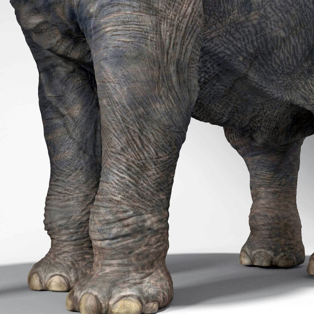 Obj Photorealistic Elephant Rigged