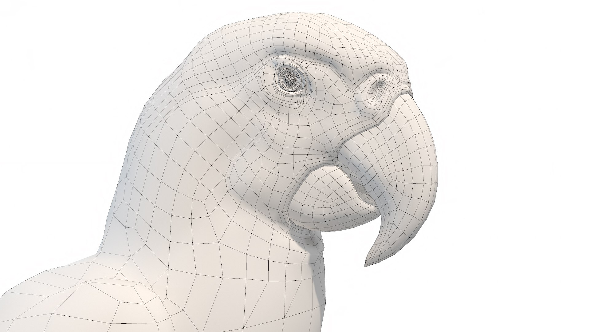 Macaw Collection 3D model - TurboSquid 1834284