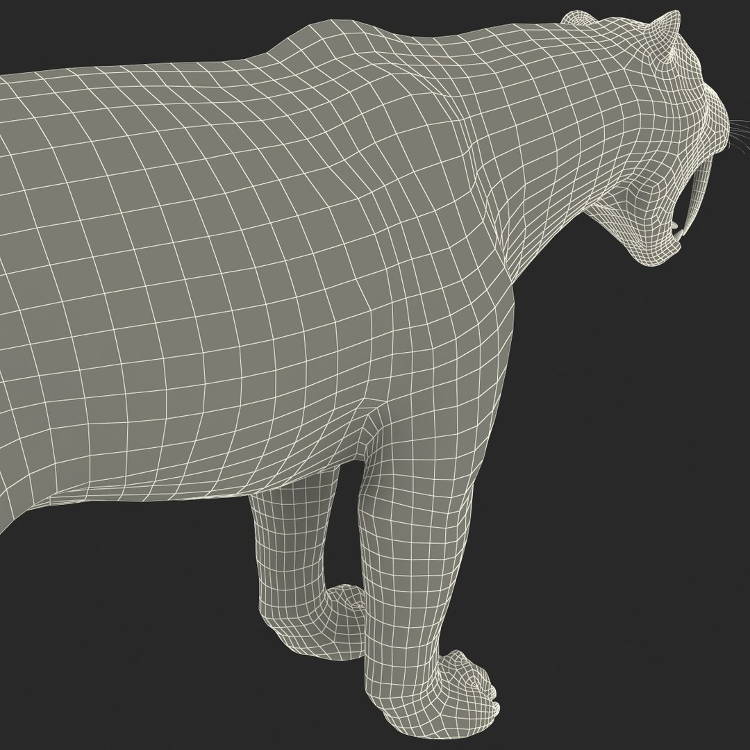 3d Smilodon Model