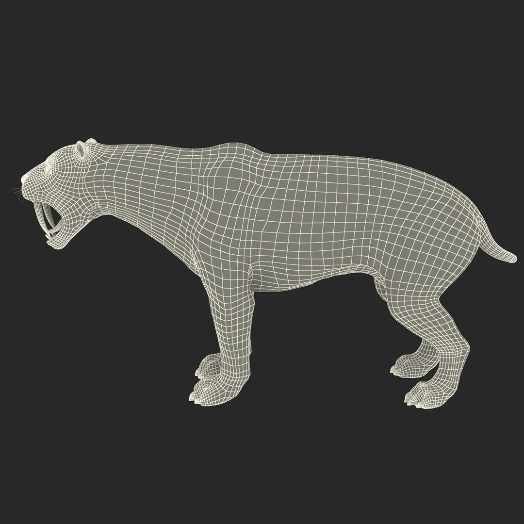 3d Smilodon Model