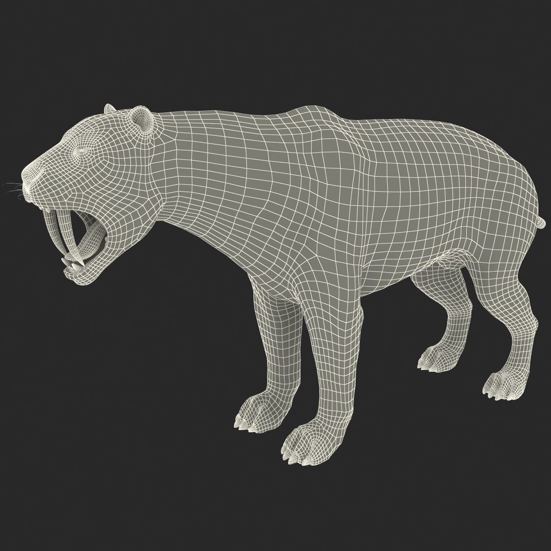 3d Smilodon Model