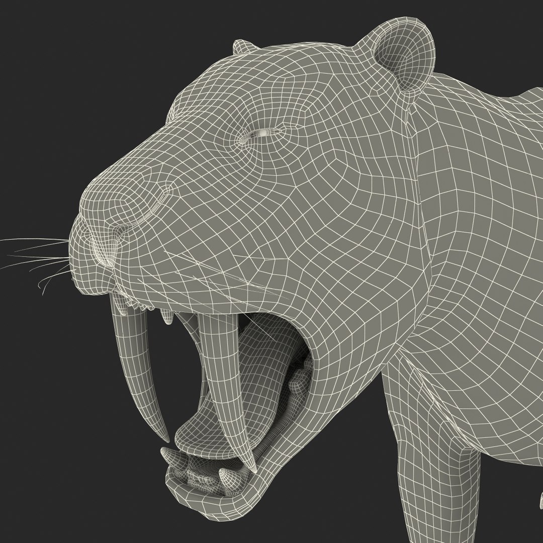 3d Smilodon Model
