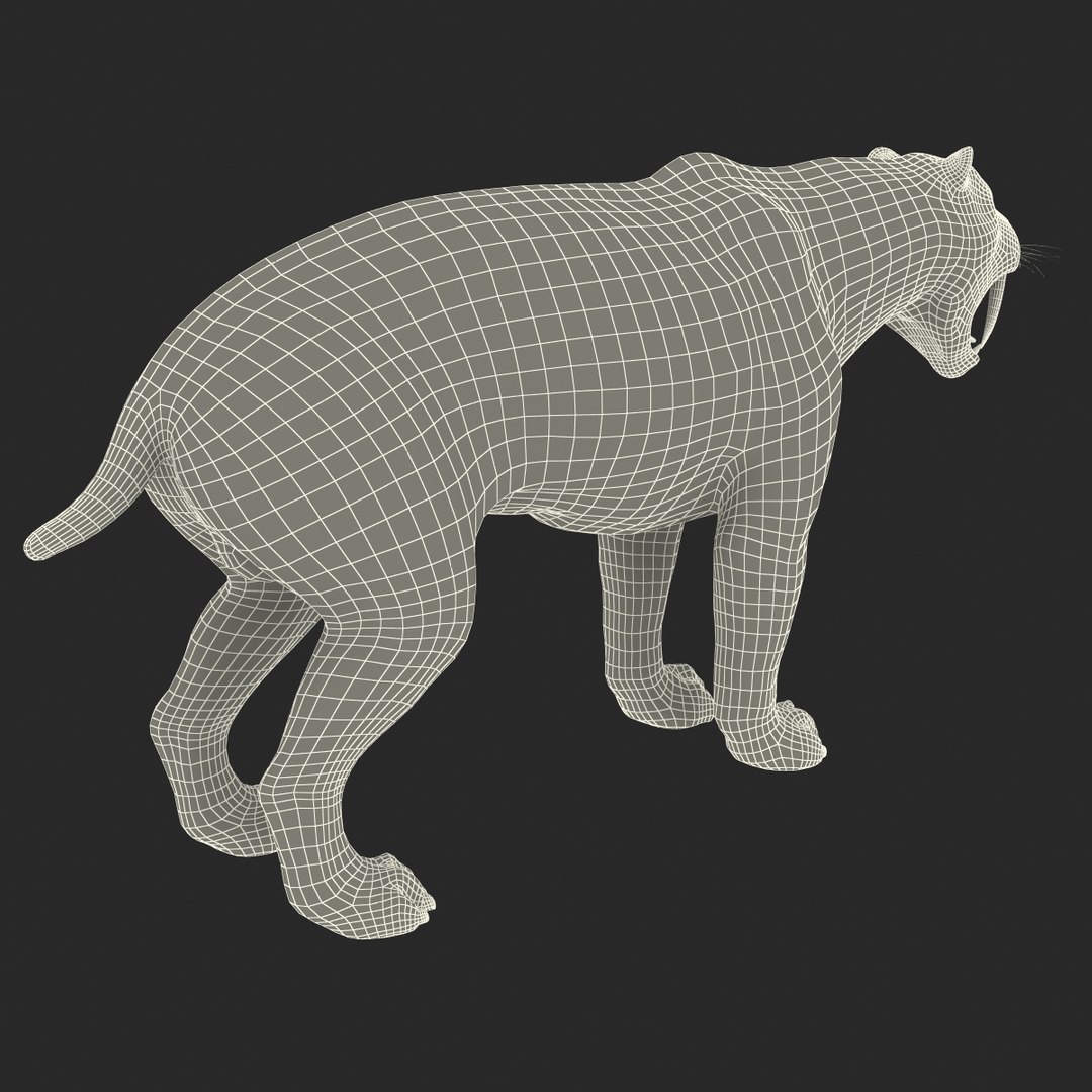 3d Smilodon Model