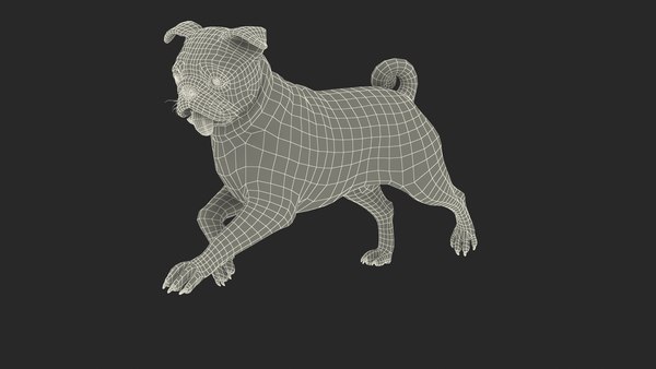 Pug dog running pose 3D model - TurboSquid 1681724