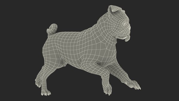 Pug dog running pose 3D model - TurboSquid 1681724