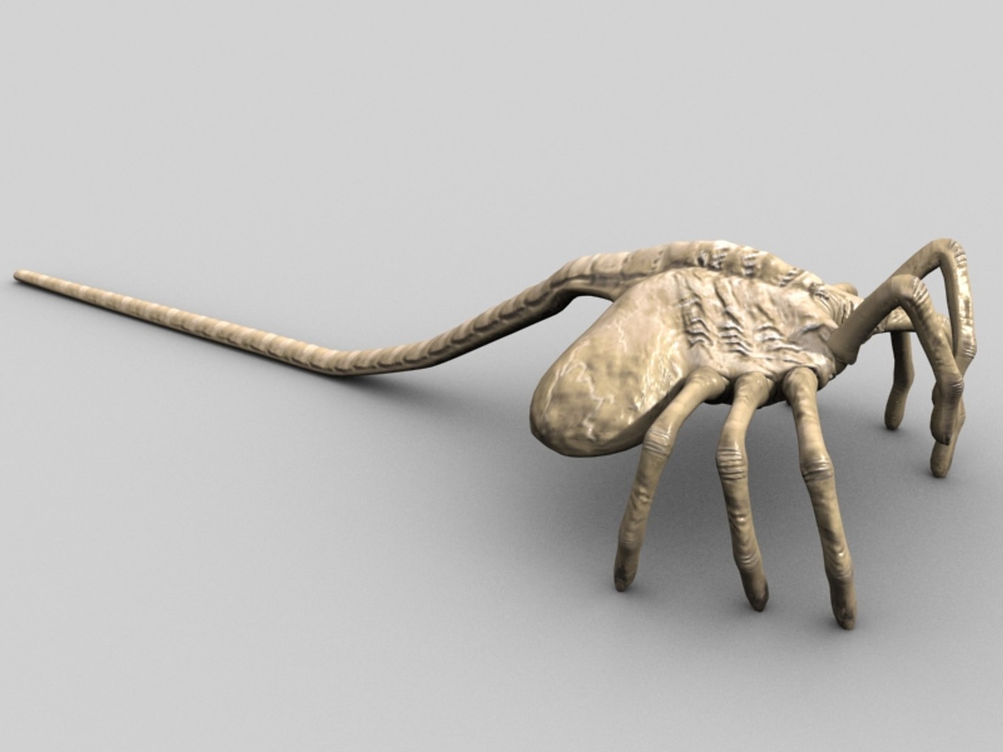Rigged Xenomorph Facehugger Alien 3d Max
