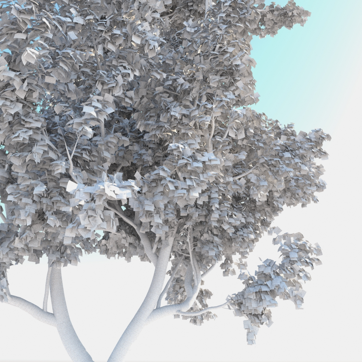 realistic linden lime tree 3d model