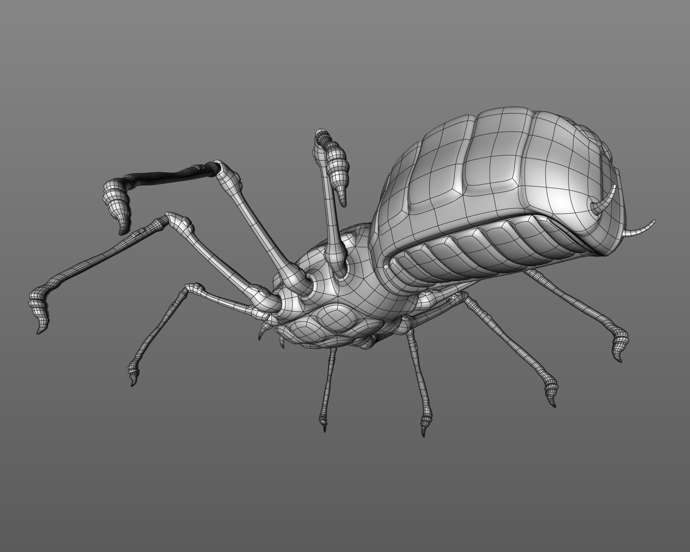 Free spider one-of-a-kind animations 3D - TurboSquid 1288818