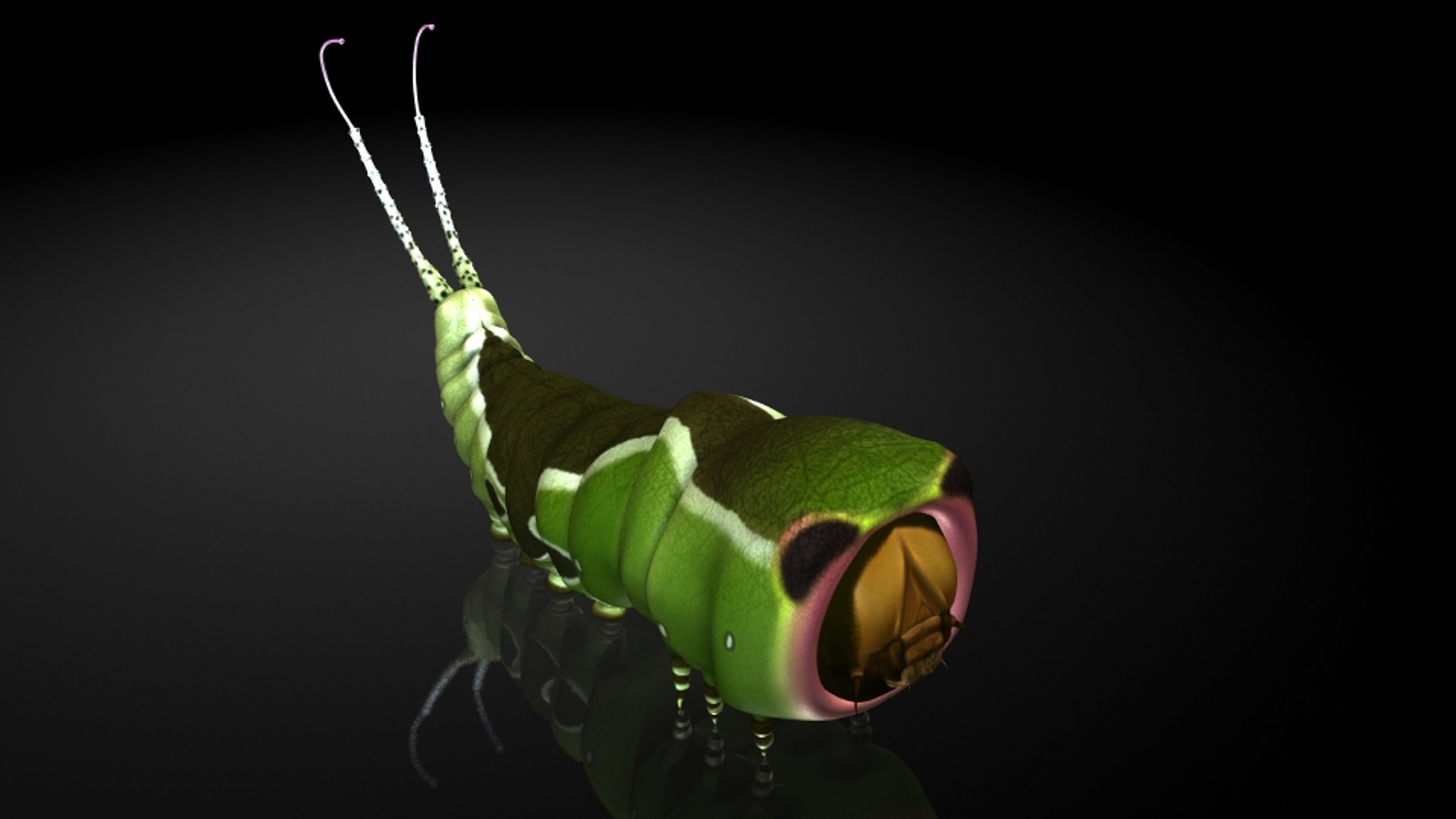 Insect 3D Model - TurboSquid 1214337