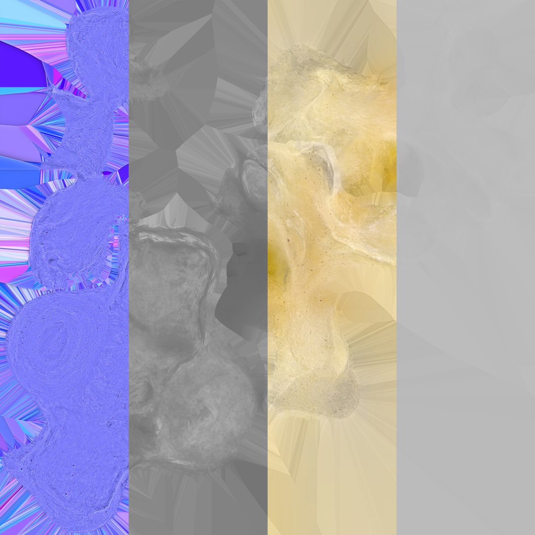 Pavian Monkey Male Caudal Vertebrae Cd2 3D Model - TurboSquid 2071796