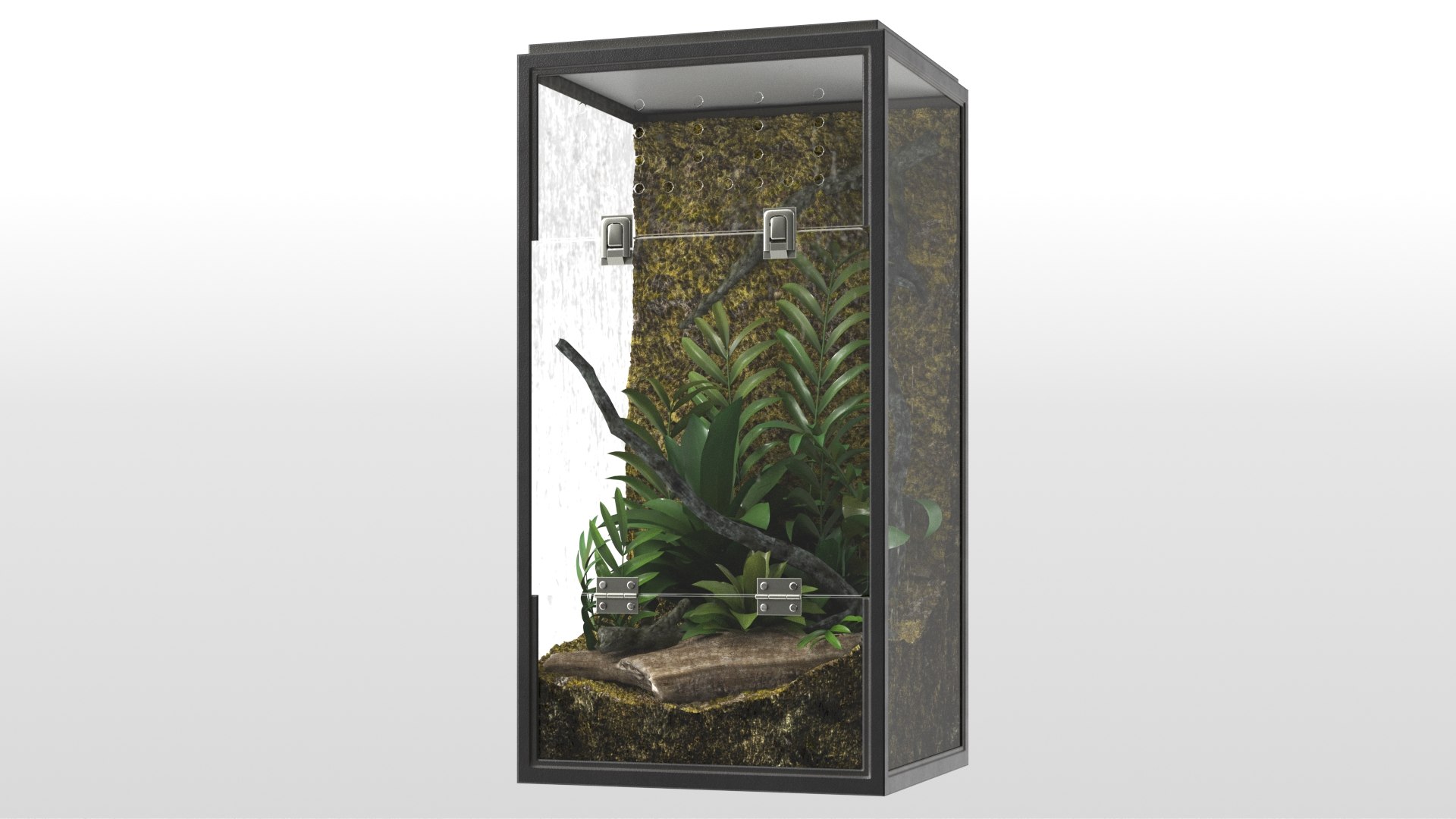 Realistic Terrarium 2 3D Model - TurboSquid 1473511