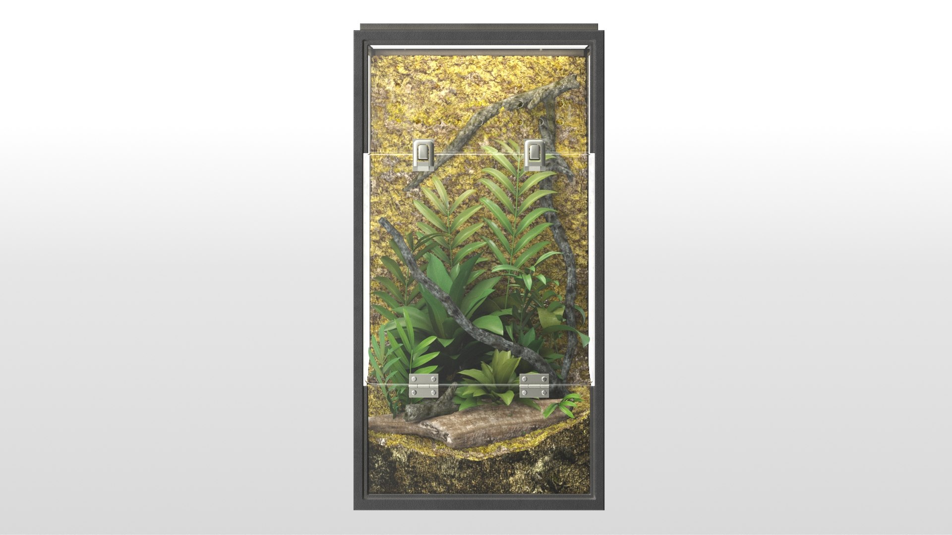 Realistic Terrarium 2 3D Model - TurboSquid 1473511