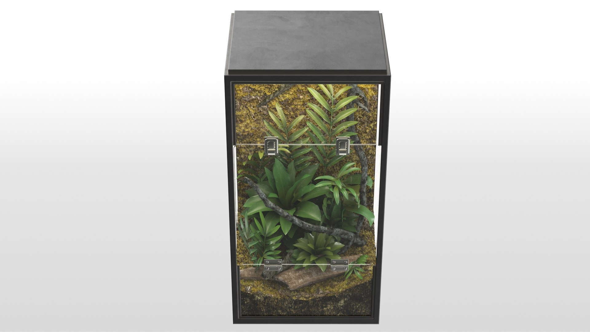 Realistic Terrarium 2 3D Model - TurboSquid 1473511