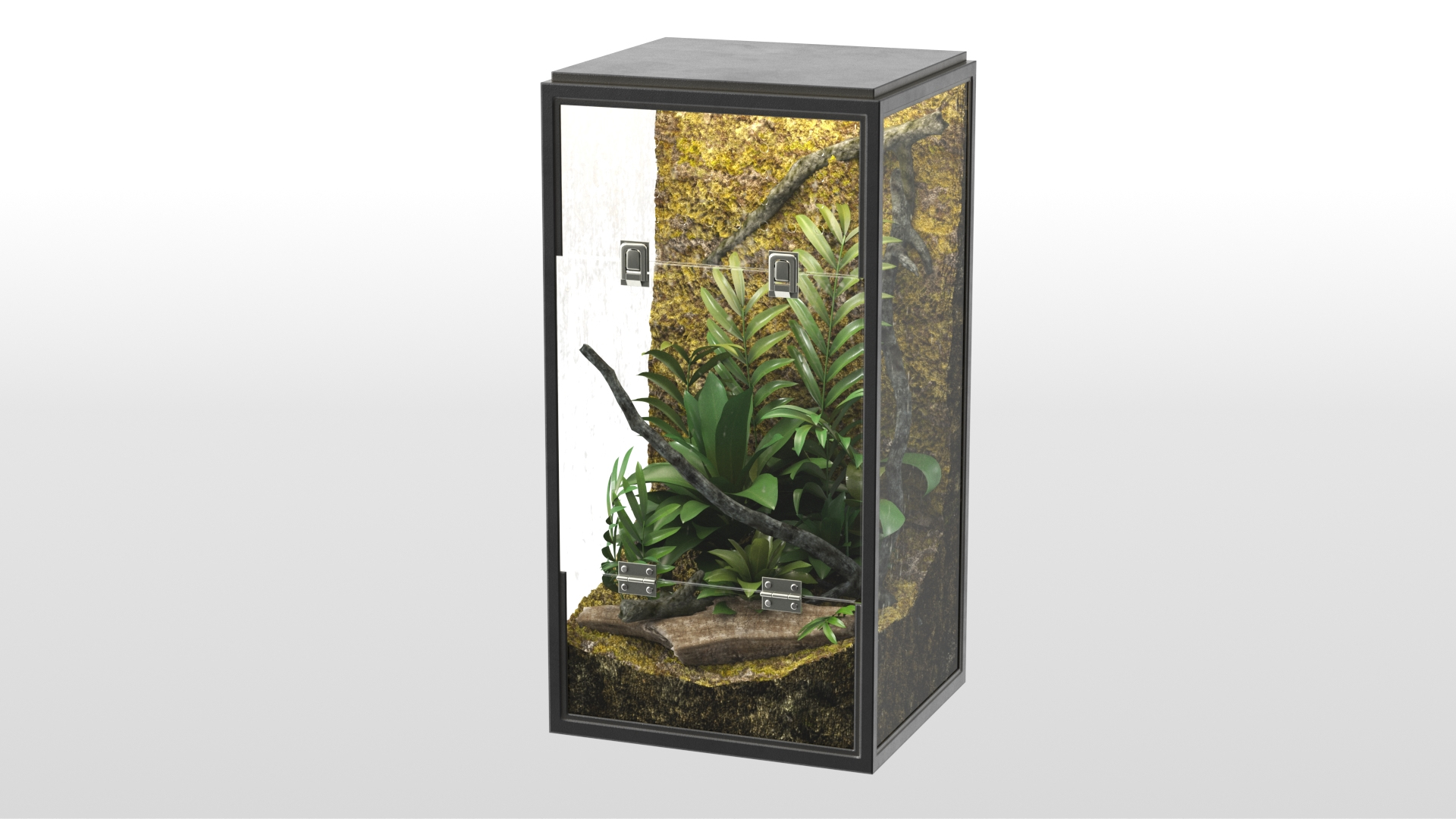 Realistic Terrarium 2 3D Model - TurboSquid 1473511