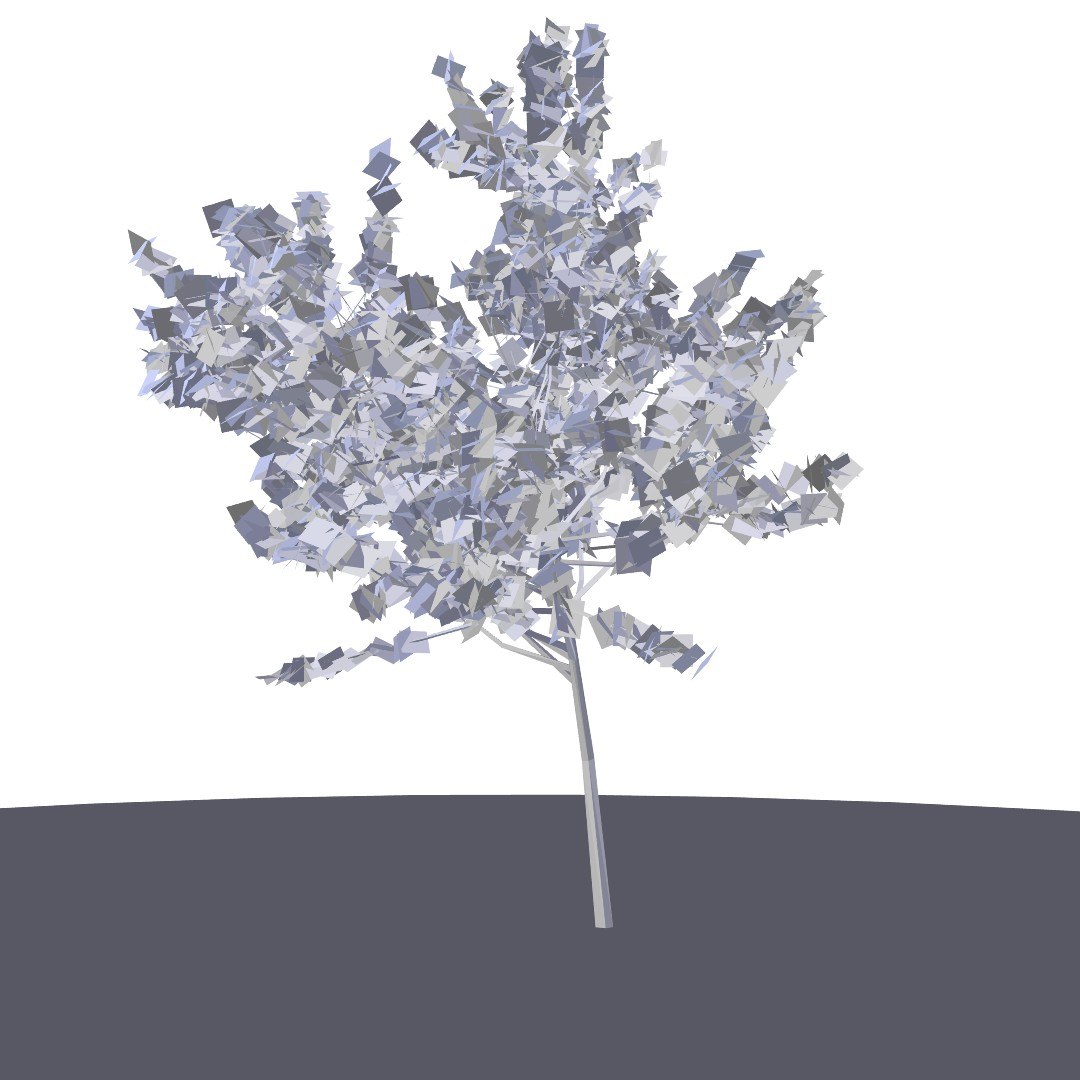 Tree Leaf 3d Model