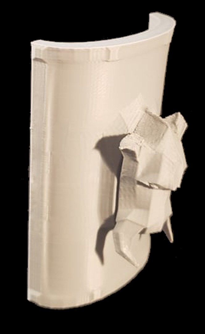 Medieval boar shield model - TurboSquid 1580969