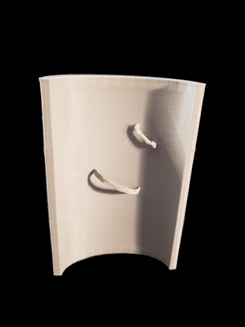 Medieval boar shield model - TurboSquid 1580969