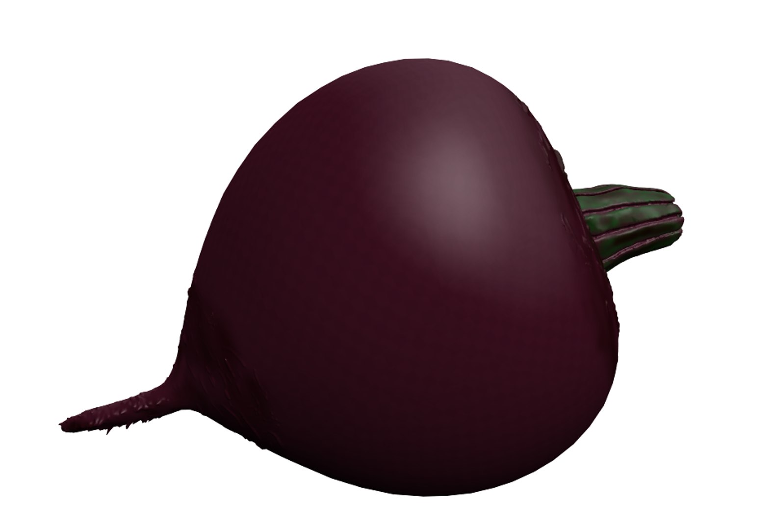 Realistic Beet 3d Model
