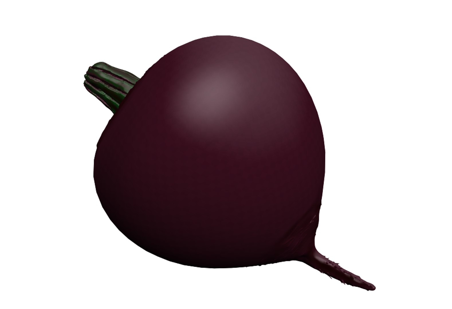 Realistic Beet 3d Model