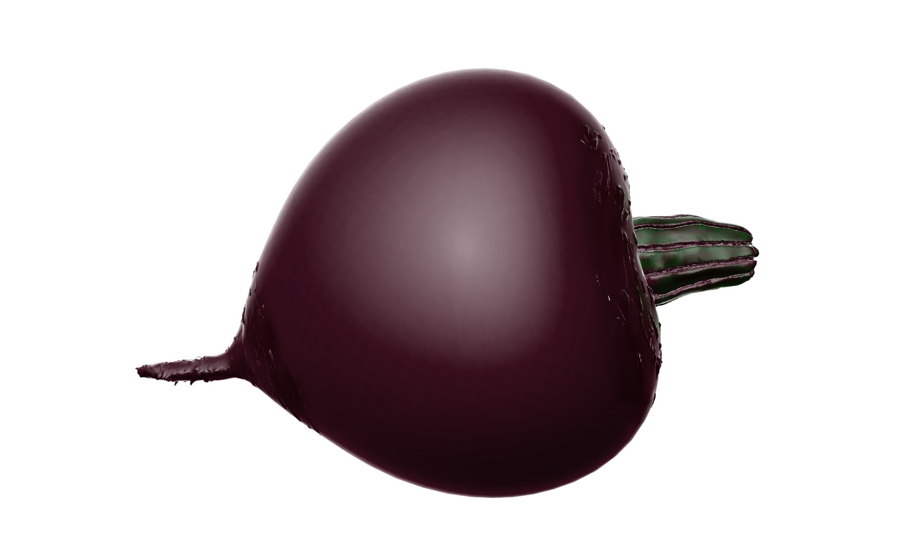 Realistic Beet 3d Model