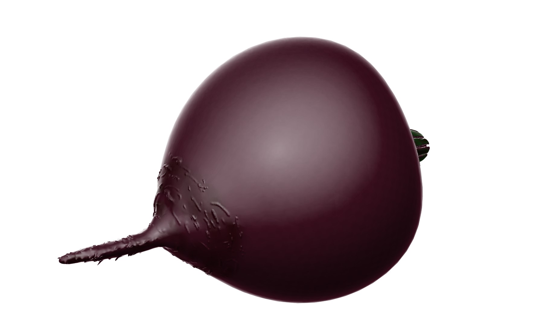 Realistic Beet 3d Model