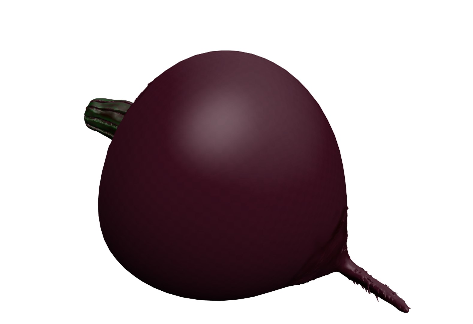 Realistic Beet 3d Model