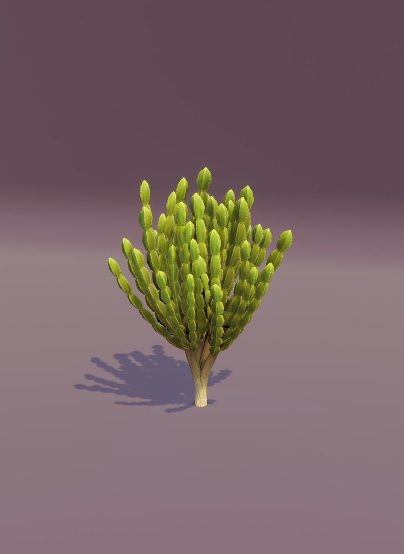 Cartoon Candelabra Tree 3D Model - TurboSquid 1790145