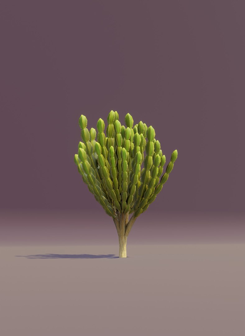 Cartoon Candelabra Tree 3D Model - TurboSquid 1790145