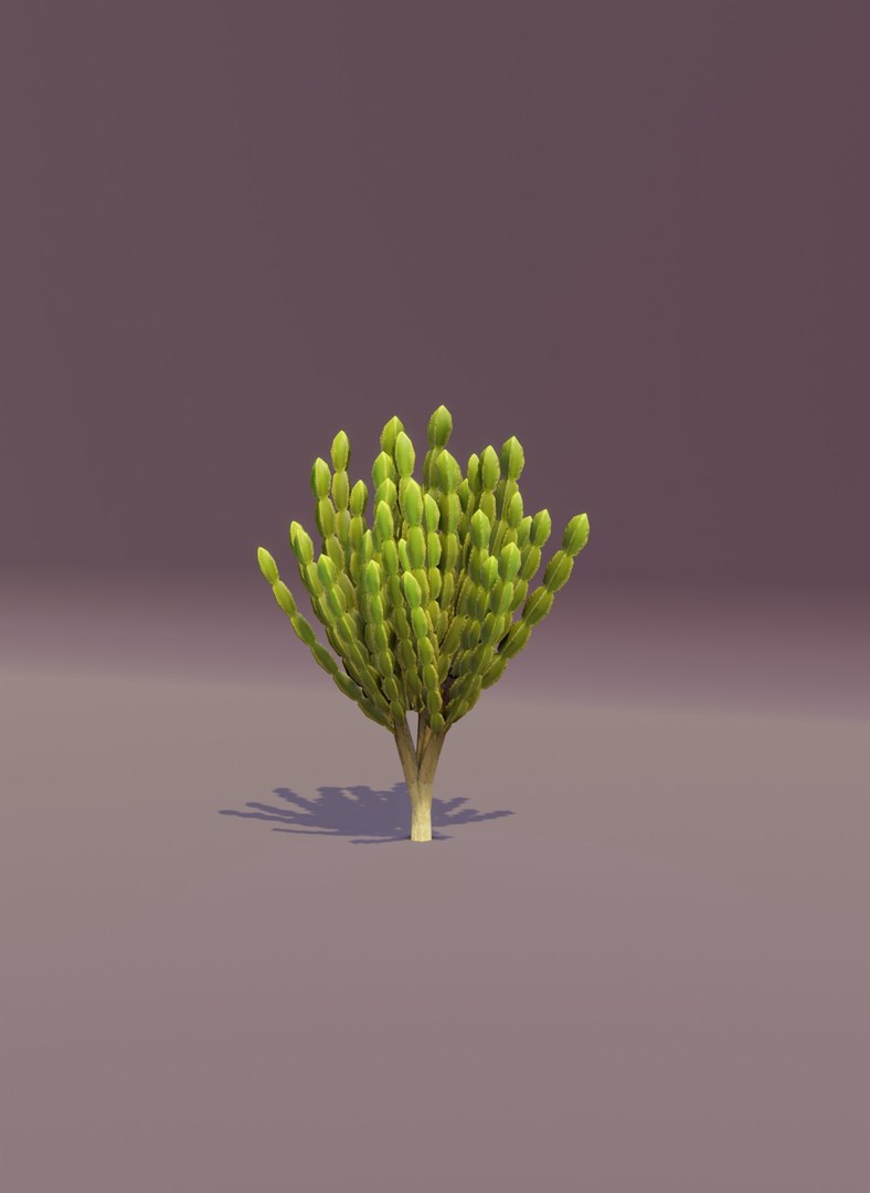 Cartoon Candelabra Tree 3D Model - TurboSquid 1790145