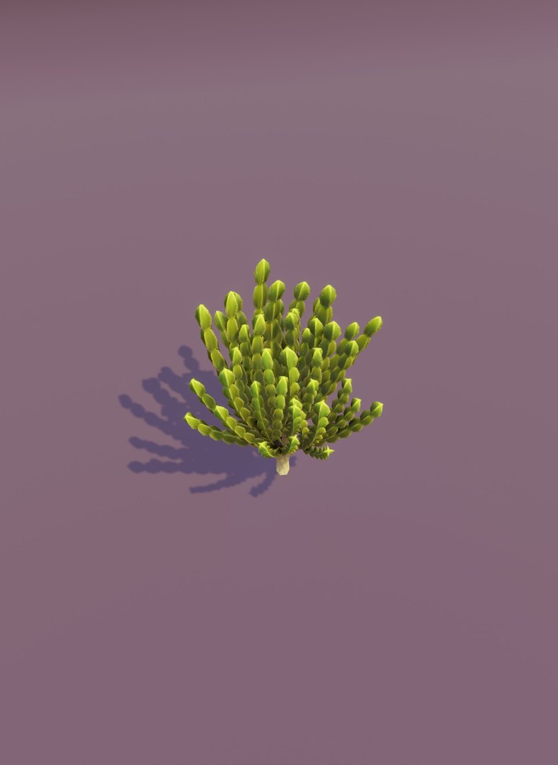 Cartoon Candelabra Tree 3D Model - TurboSquid 1790145