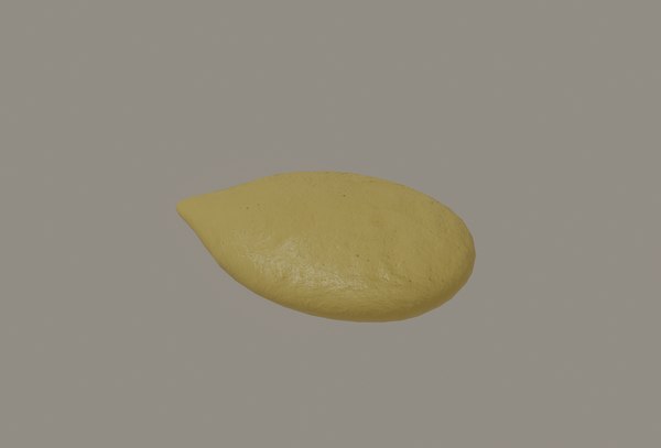 3D Seed - TurboSquid 2045115