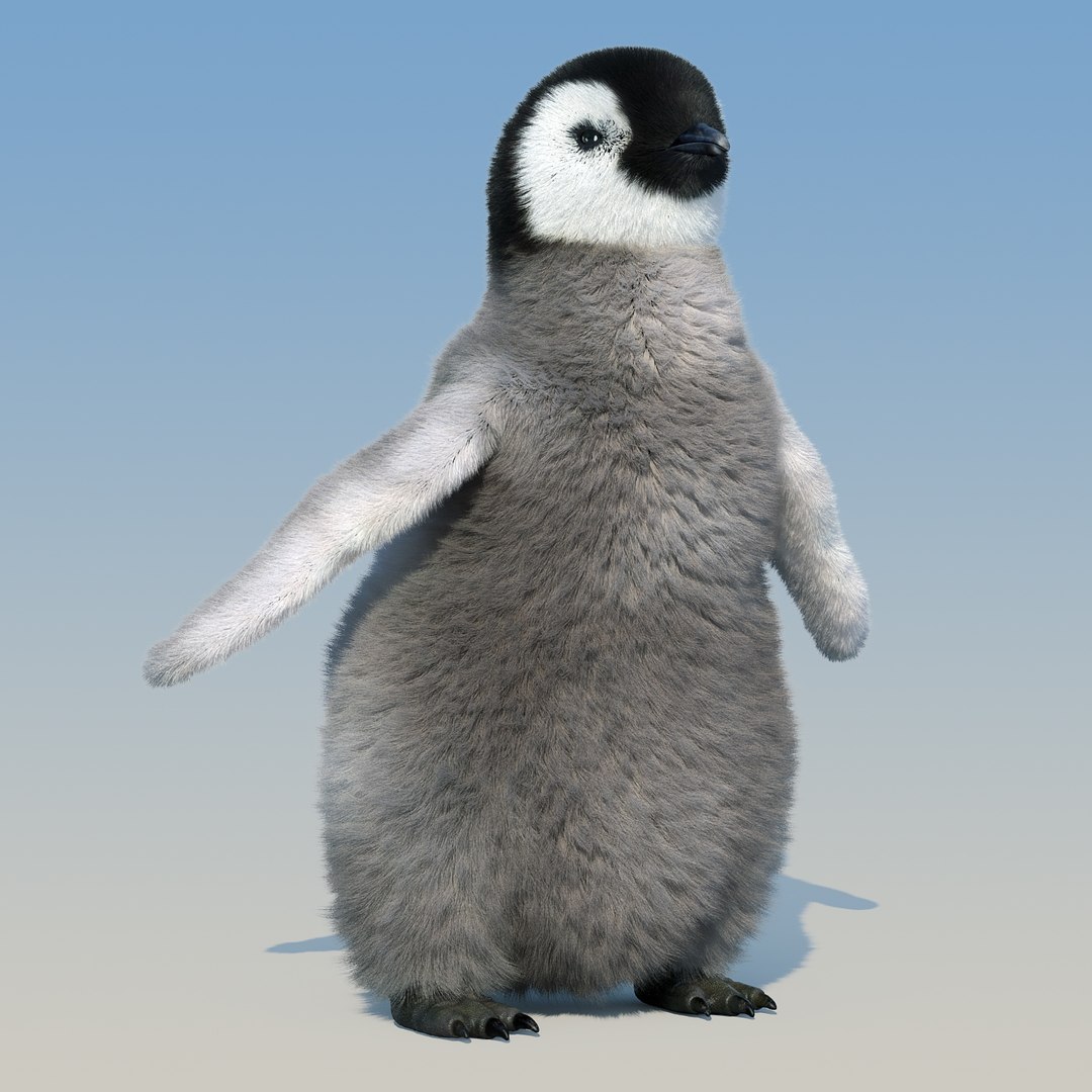 Emperor Penguin Chick Fur Max