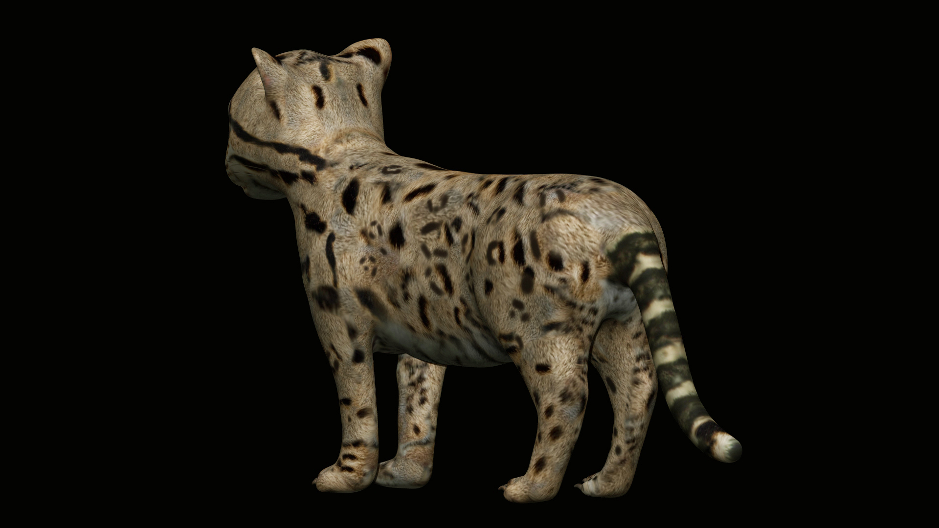 Fully rigged ocelot 3D - TurboSquid 1705335