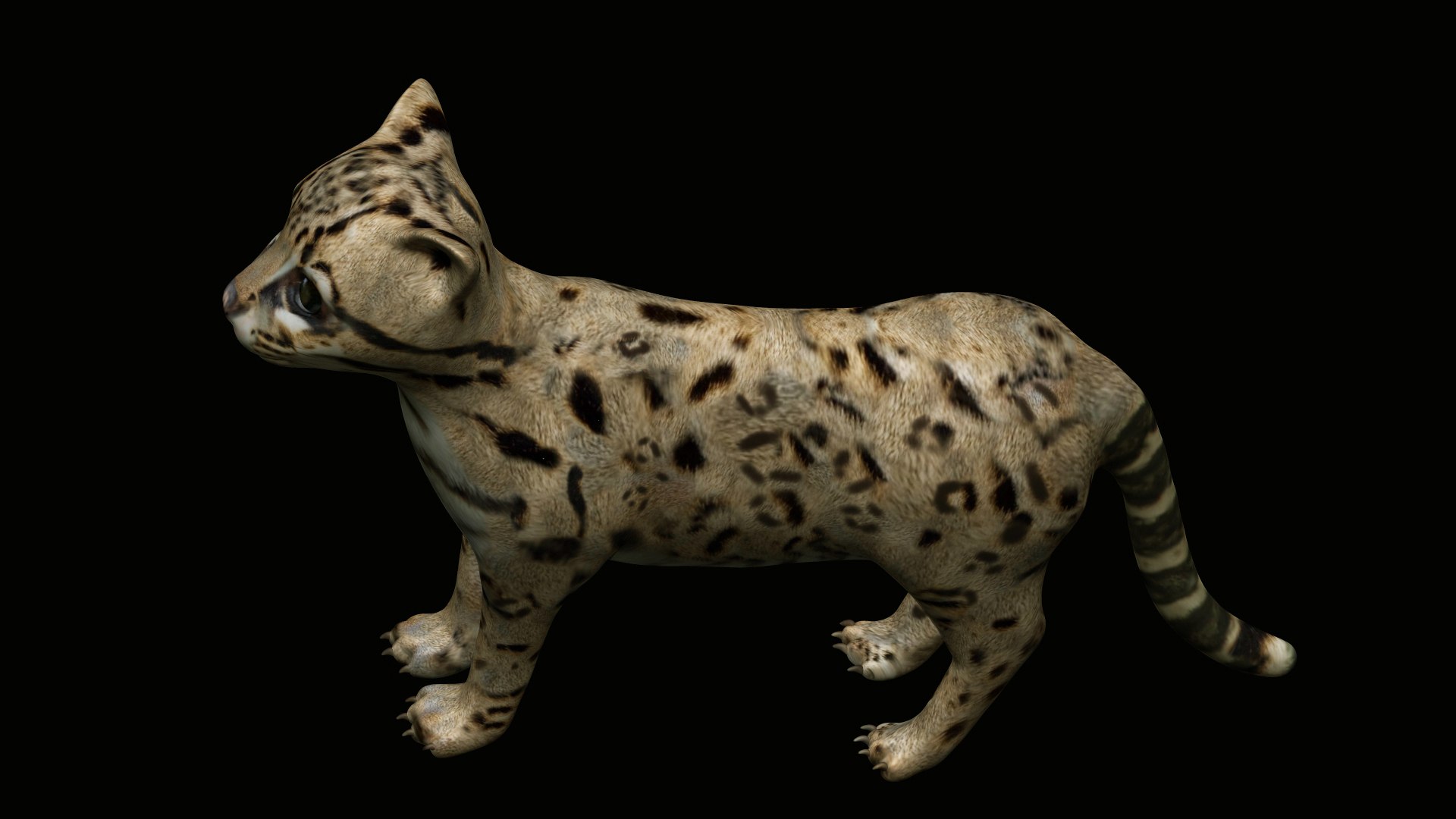 Fully rigged ocelot 3D - TurboSquid 1705335