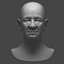 polygonal head old man 3d model
