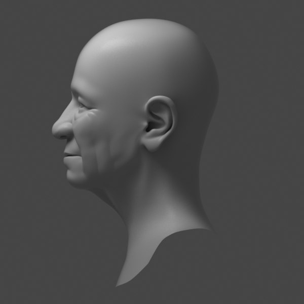 polygonal head old man 3d model