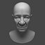 polygonal head old man 3d model