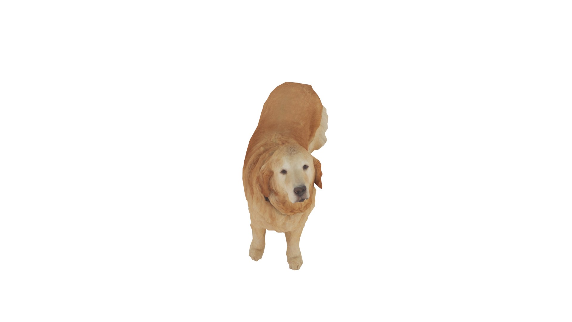 3D Cute House Dog Male Static - Hair And Fur - TurboSquid 2239141