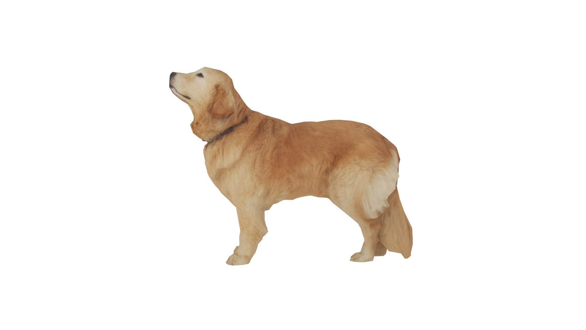 3D Cute House Dog Male Static - Hair And Fur - TurboSquid 2239141