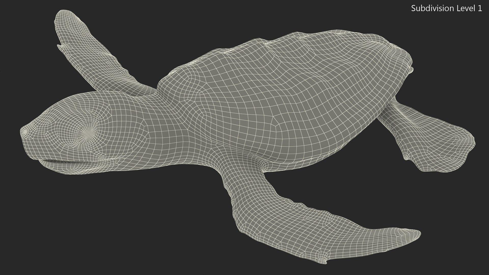 Baby Black Sea Turtle Runs To The Sea Model - TurboSquid 2202988