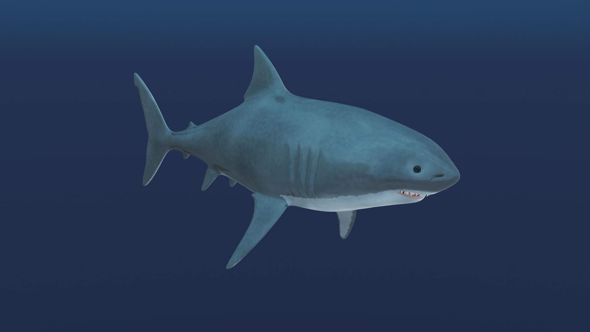 3d max shark