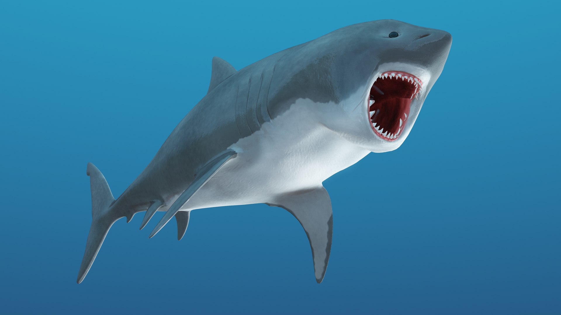 3d max shark