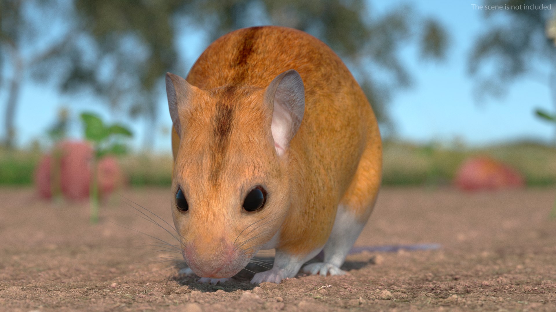 False Mouse Sniffing Pose 3D - TurboSquid 2196903