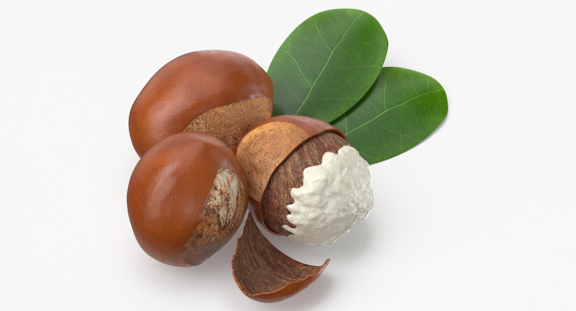 3D Model Prop 08 Shea Nuts - TurboSquid 2142674