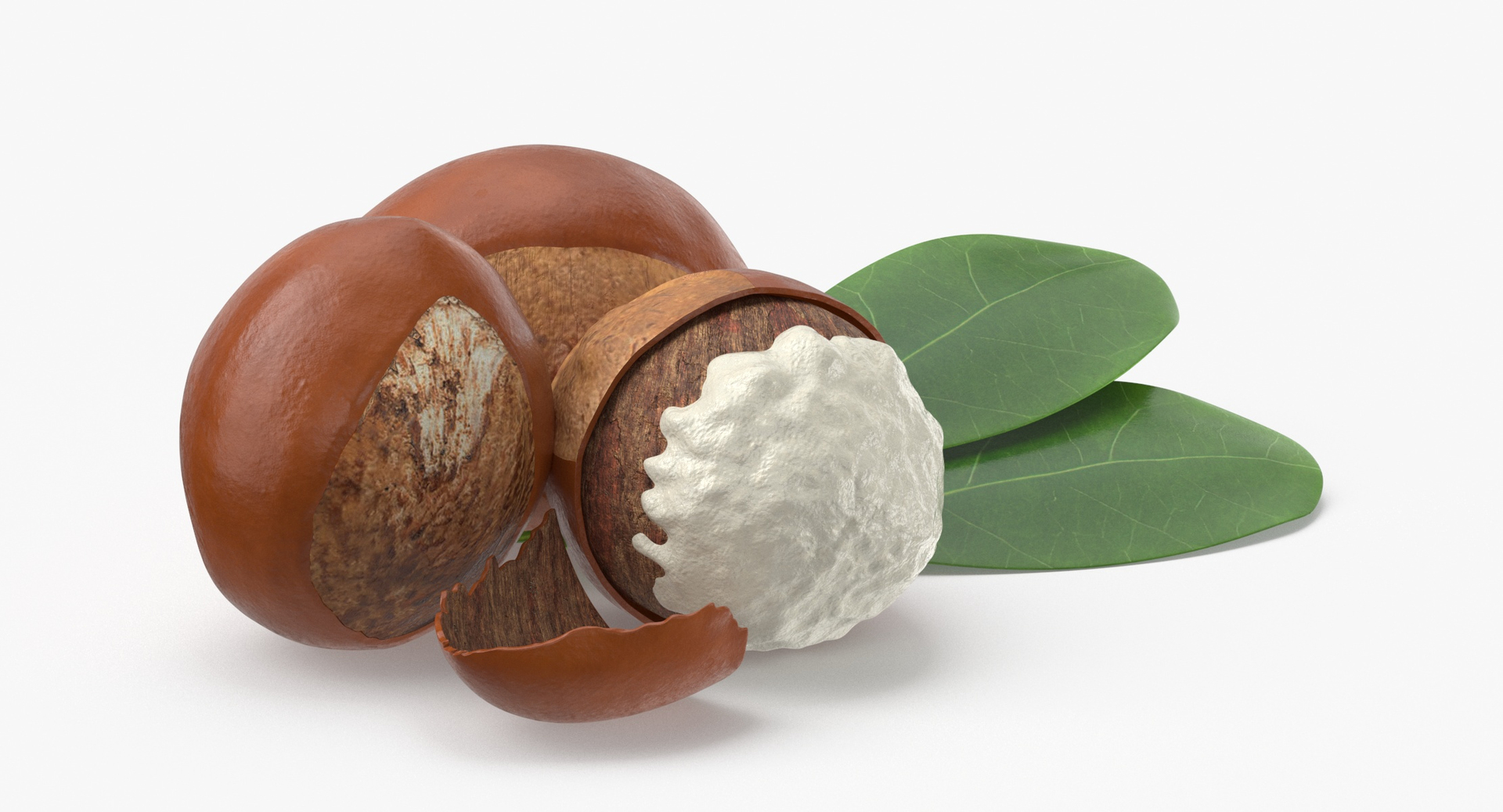 3D Model Prop 08 Shea Nuts - TurboSquid 2142674