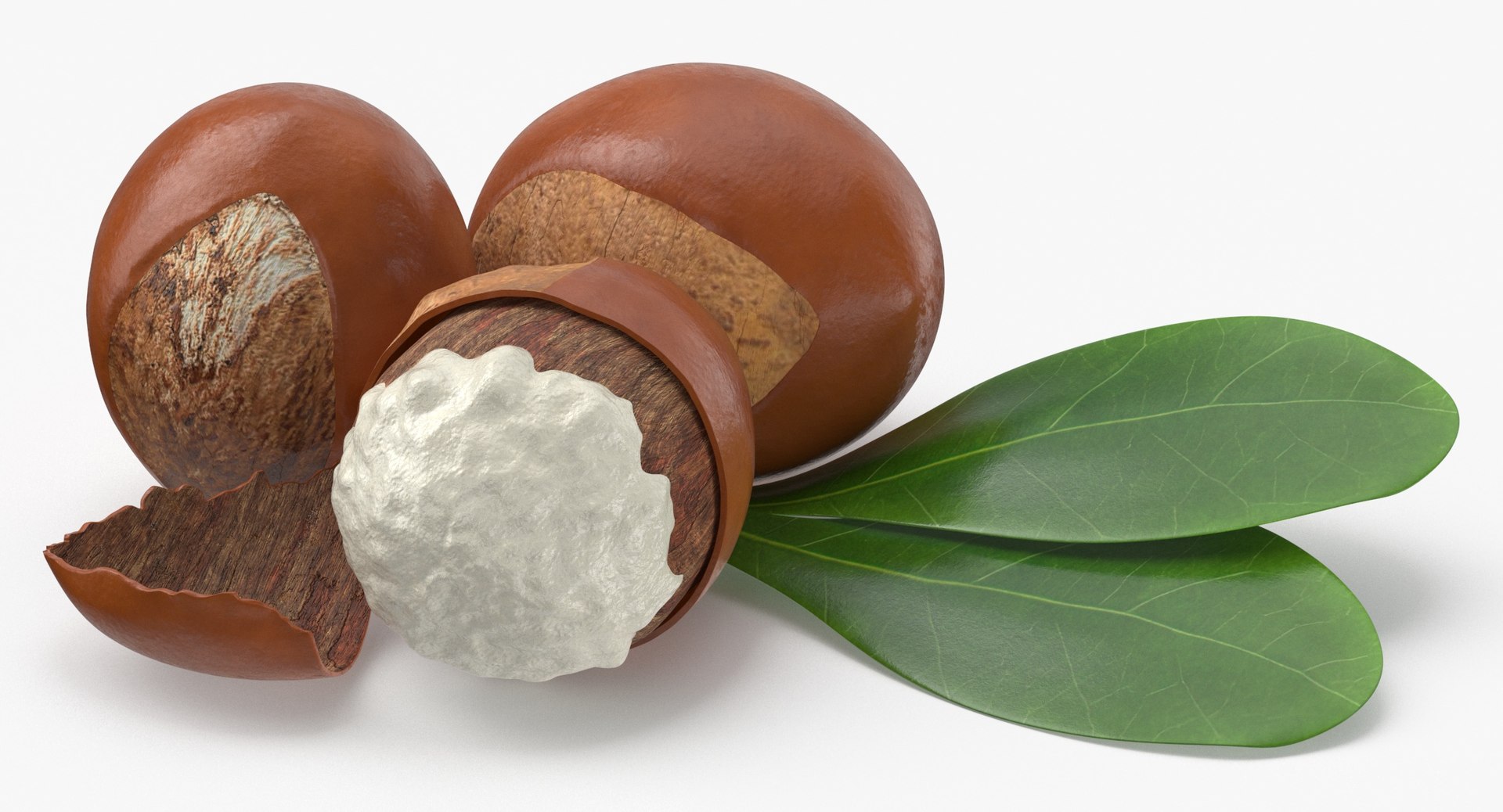 3D Model Prop 08 Shea Nuts - TurboSquid 2142674