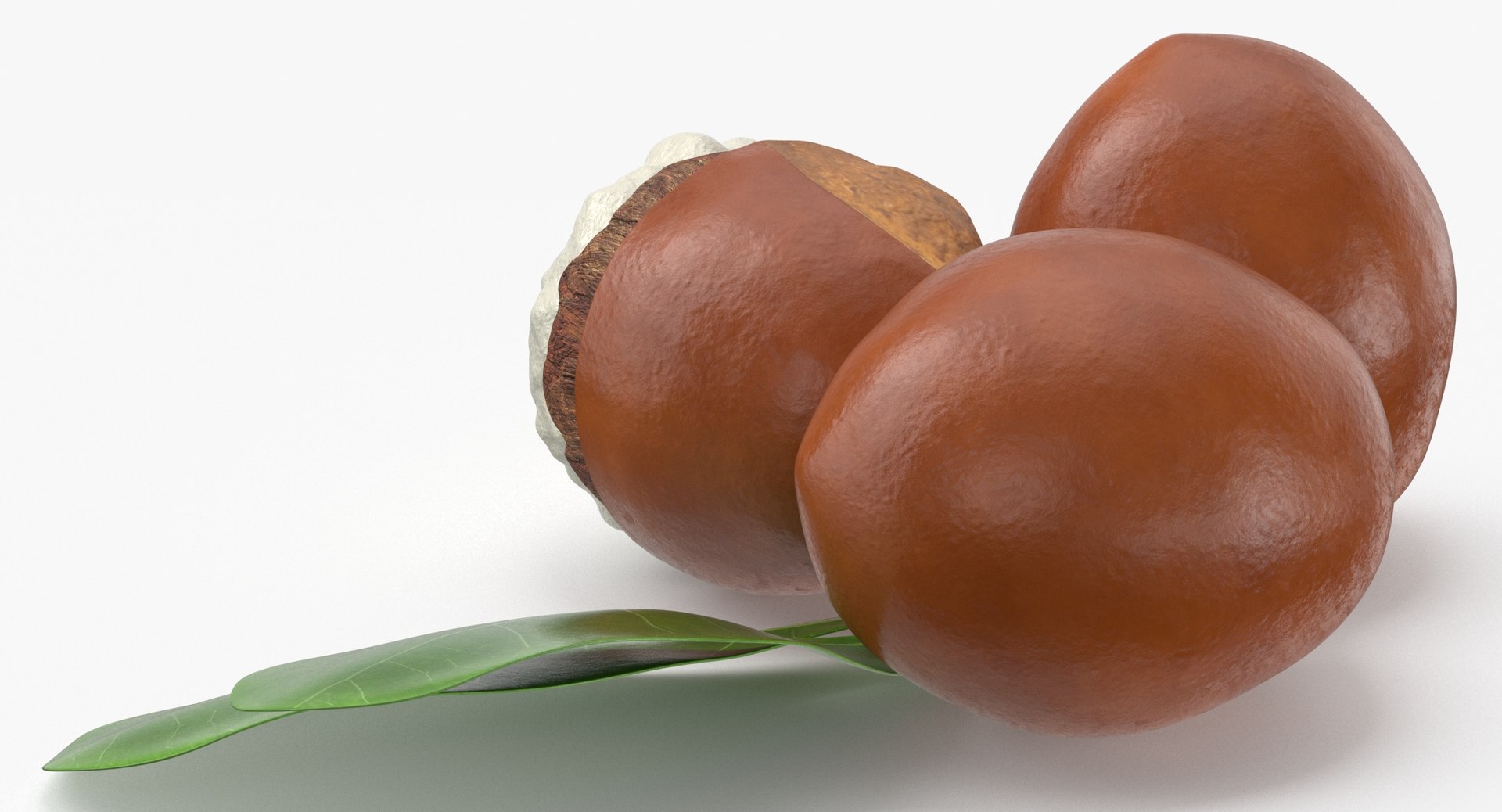 3D Model Prop 08 Shea Nuts - TurboSquid 2142674