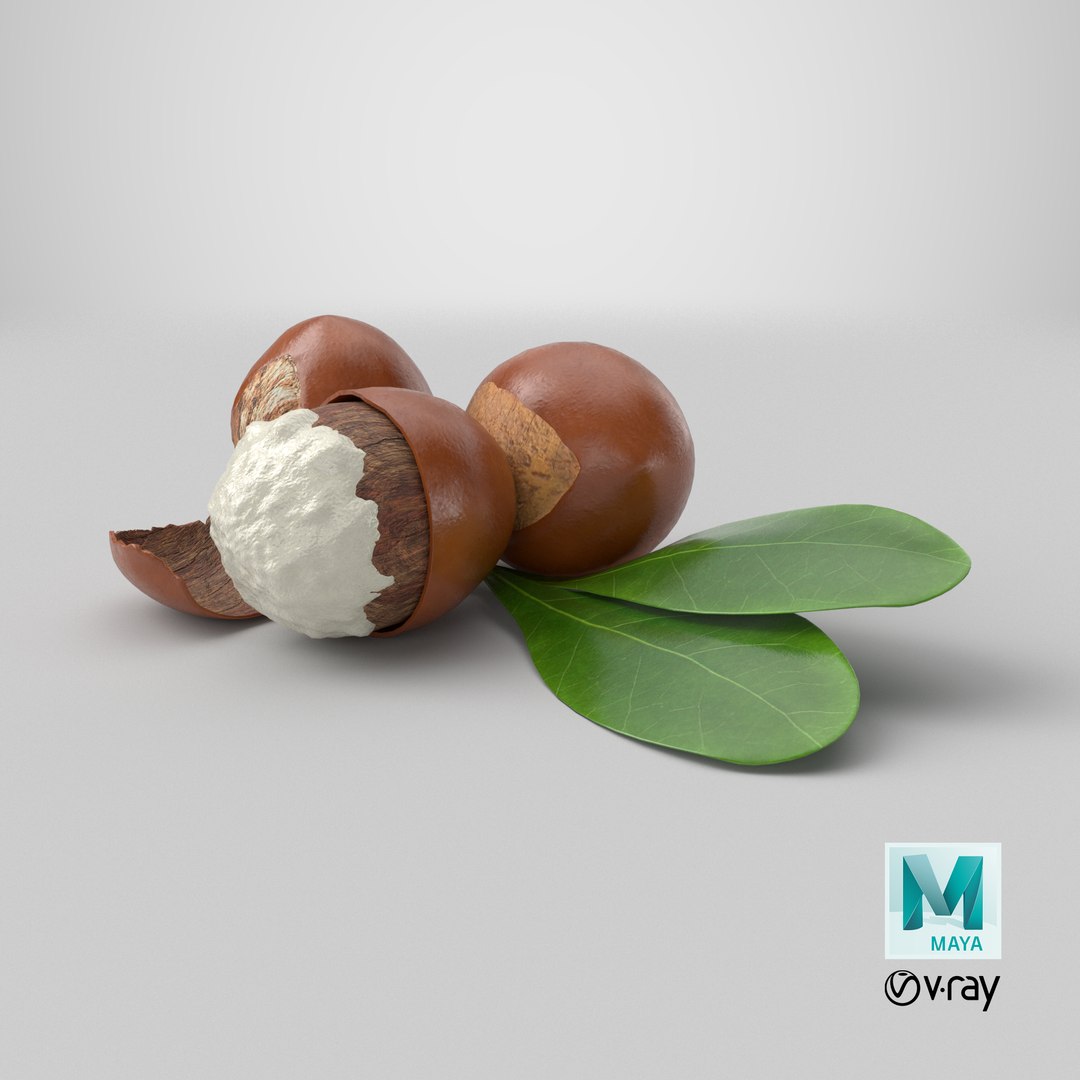 3D Model Prop 08 Shea Nuts - TurboSquid 2142674